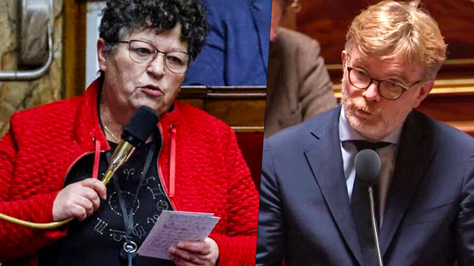 Prix garantis pour les agriculteurs : la députée LFI Catherine ...